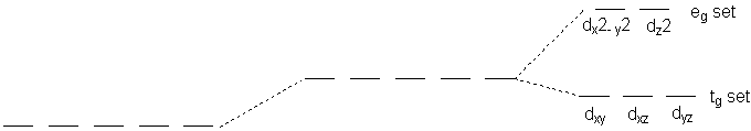Evans Method for Paramagnetic Susceptibility