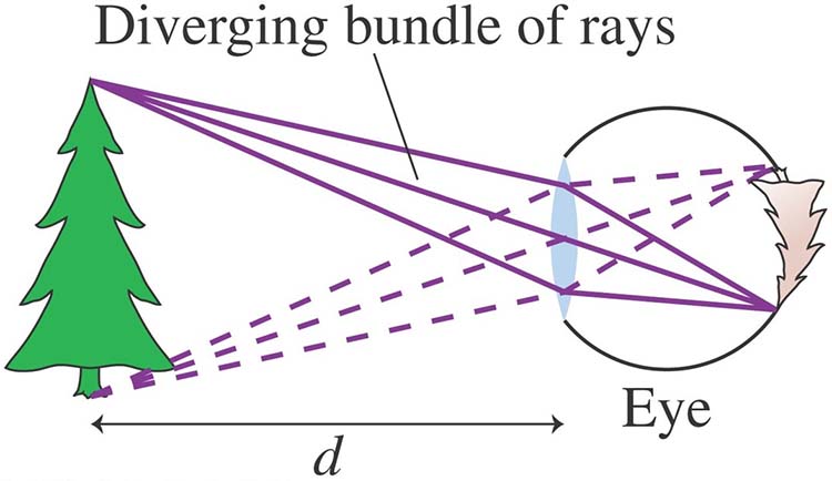 Ray Optics